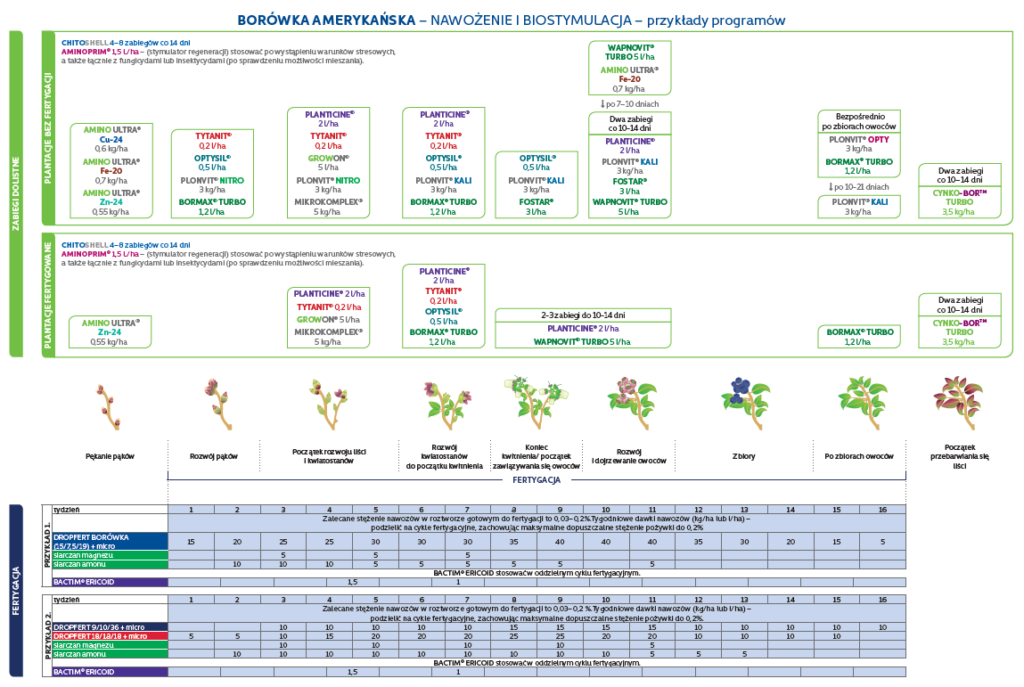 CROP GUIDES: BLUEBERRY – CULTIVATION WITHOUT FERTIGATION – FRUITING ...