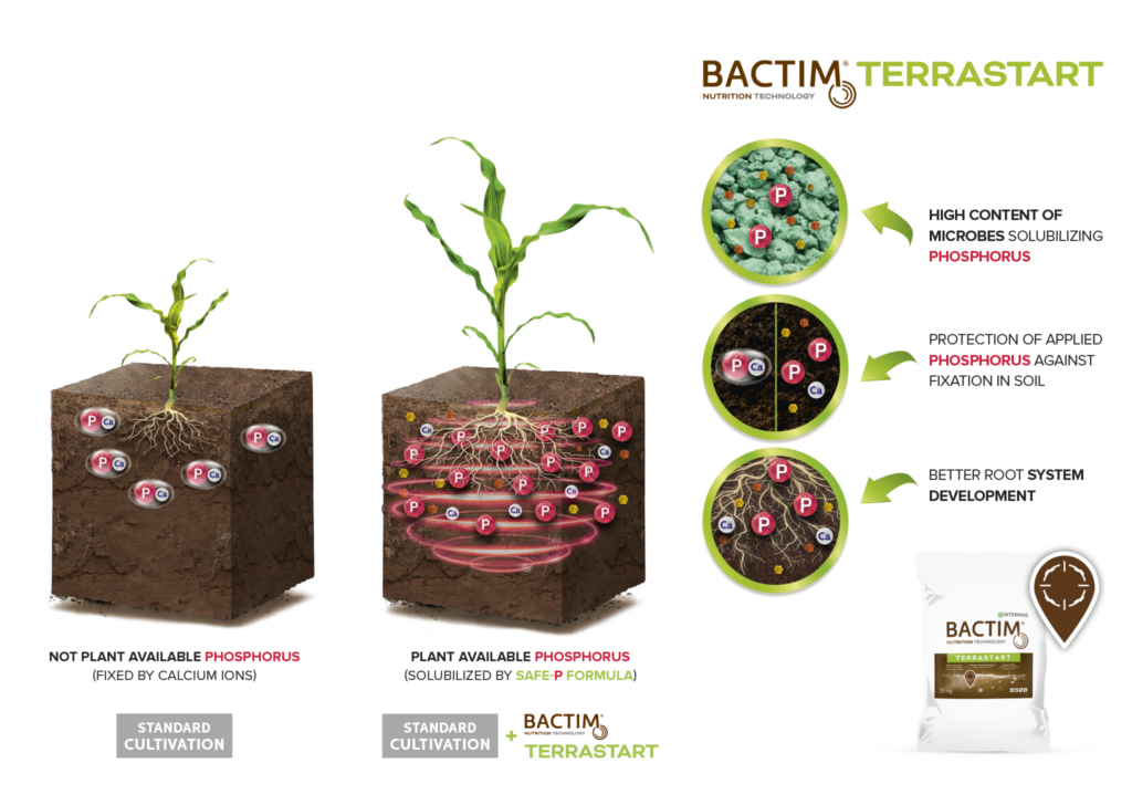 BACTIM® TERRASTART - Intermag