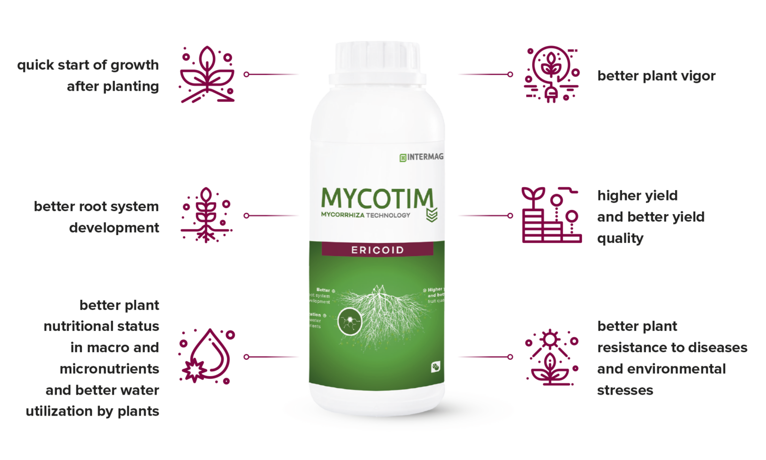 MYCOTIM ERICOID - Intermag